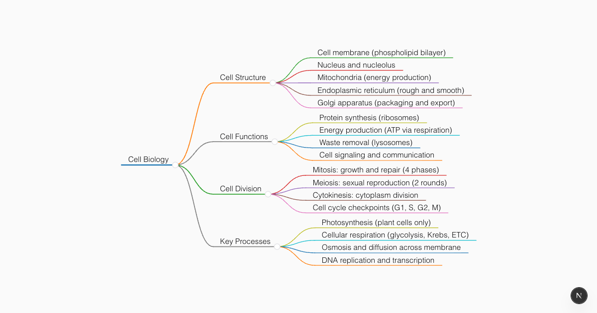 Study Mind Map Maker — Free AI Revision Map Generator | MyMap